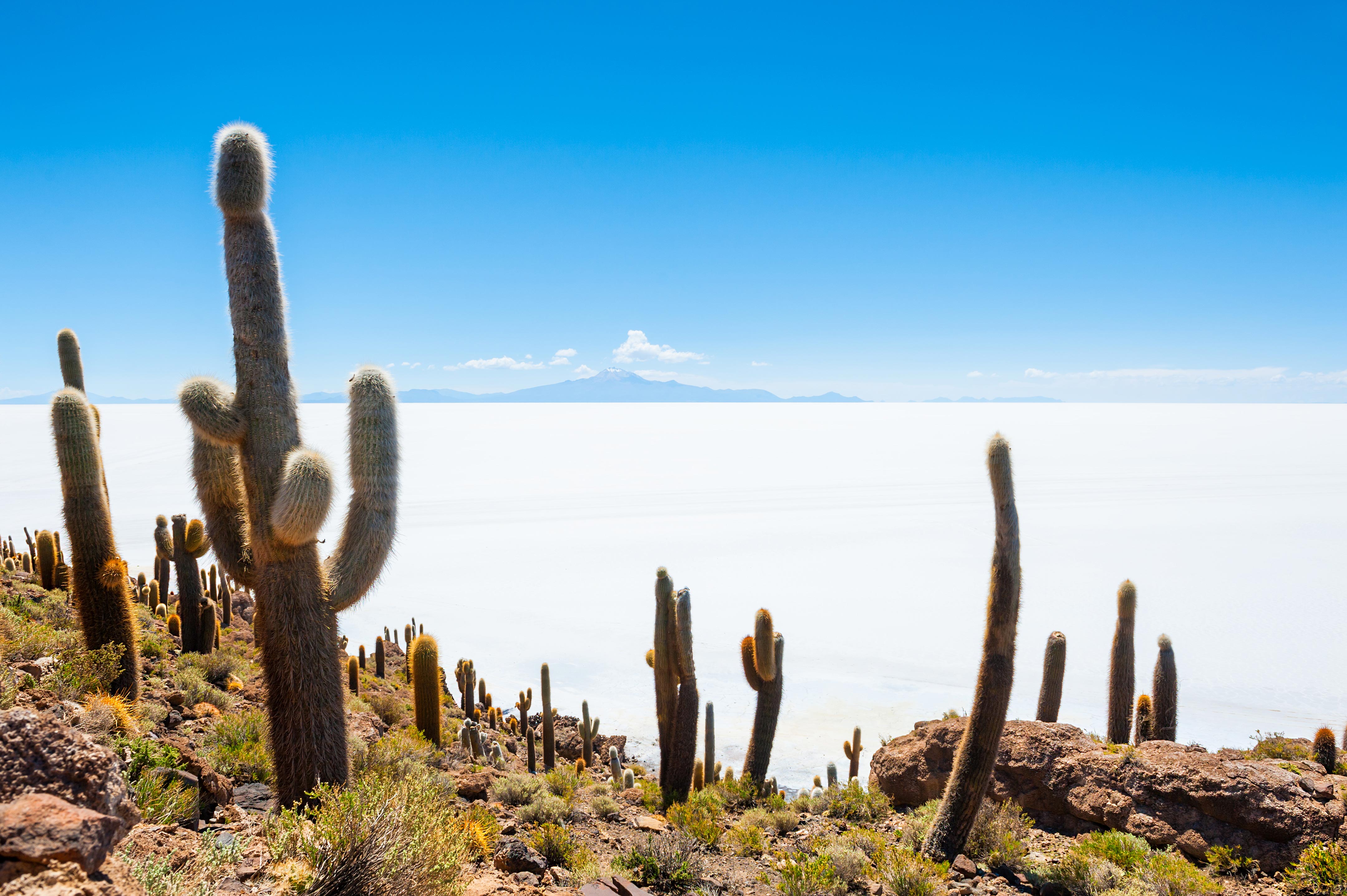 Naturerlebnisse in Bolivien - reiseziele.plus